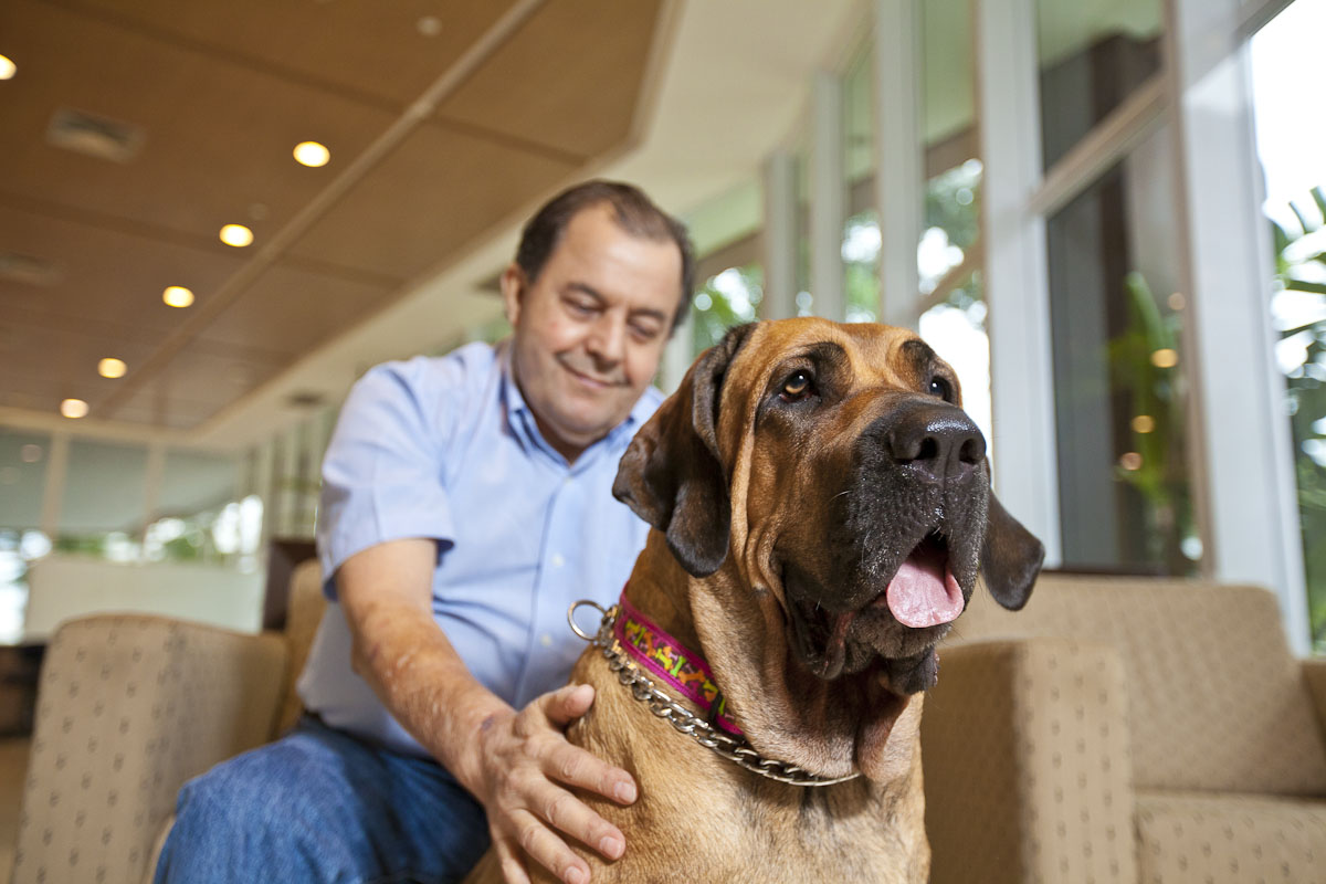 Guidelines Help Maximize Benefits of Hospital Pet Visitation Programs ...