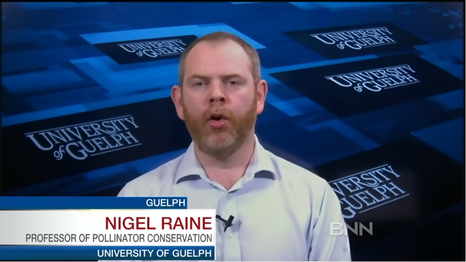 Environmental Science Prof on BNN - U of G News