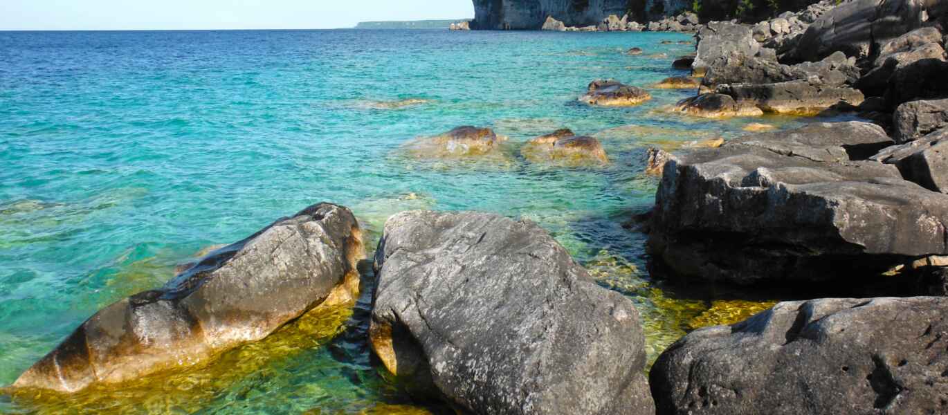 U of G Naturalist Highlights Ontario’s Must-See Outdoor Areas in New ...