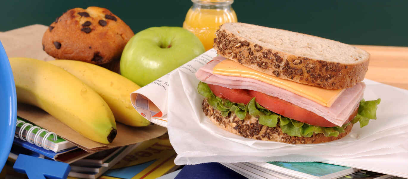 Food Safety Tips Help Keep Germs Out of School Lunches - U of G News