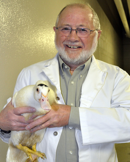 U of G’s ‘Chicken Whisperer’ to Receive Lifetime Achievement Award - U ...