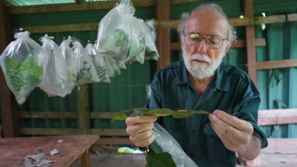 U of G Prof Leads $180-Million Global DNA Barcoding Initiative - U of G ...