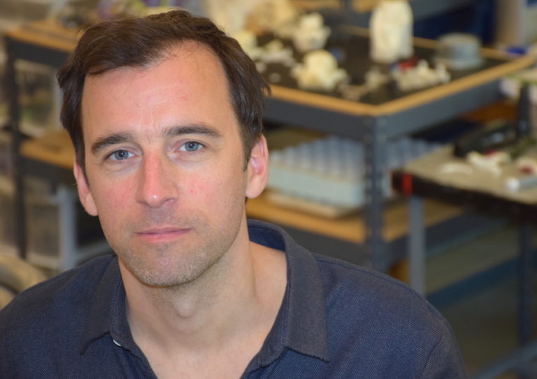 Fine Art Prof Offers Thoughts on Trump Sculpture - U of G News