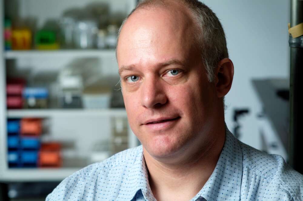 New Co-Directors Set Next Steps for U of G’s Comparative Cancer Centre ...