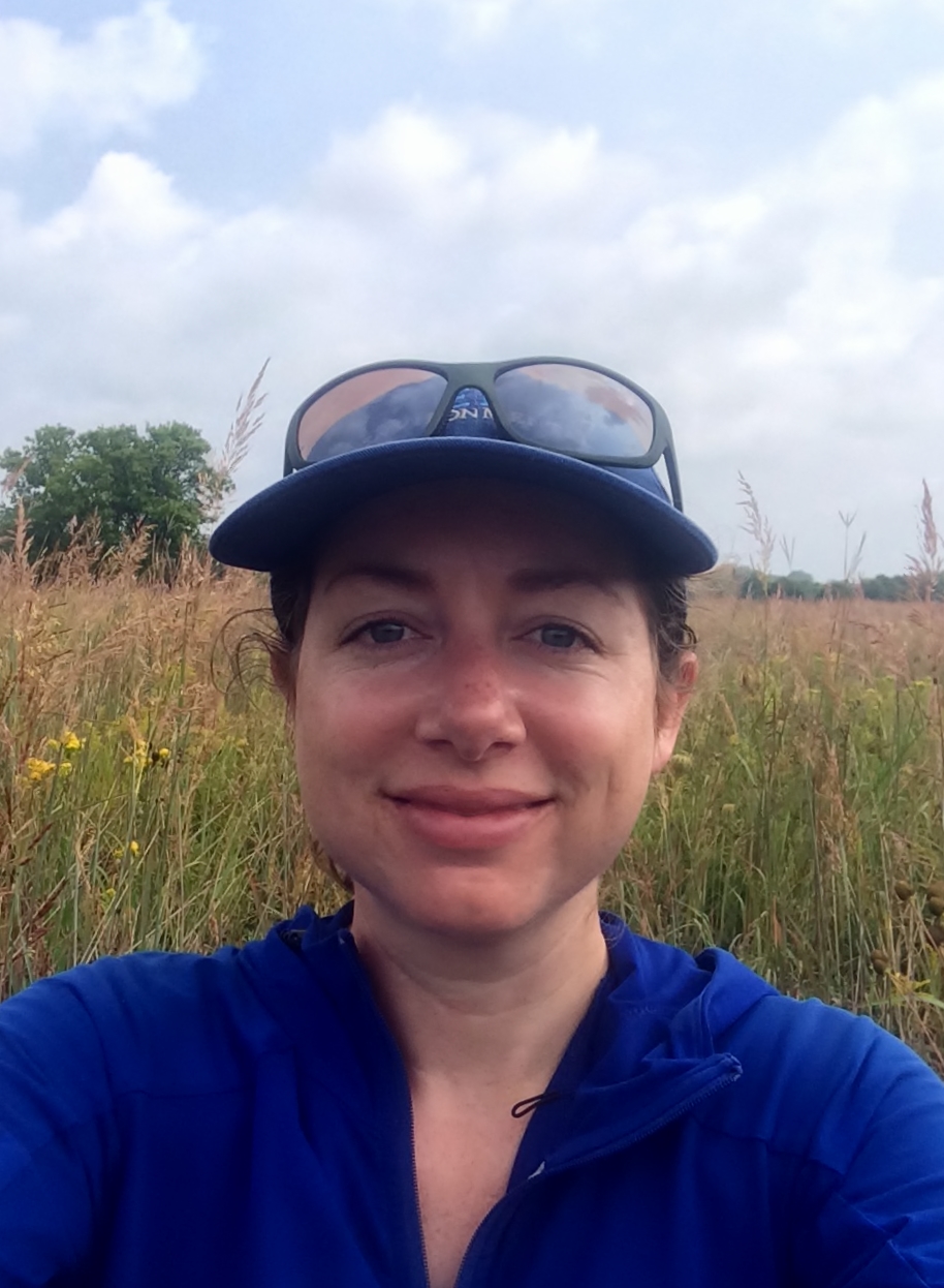 U of G Bee Discovery Makes Headlines - U of G News