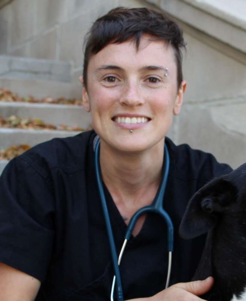 U of G Researchers First to Study Health Effects of Vegan Diets on Cats ...