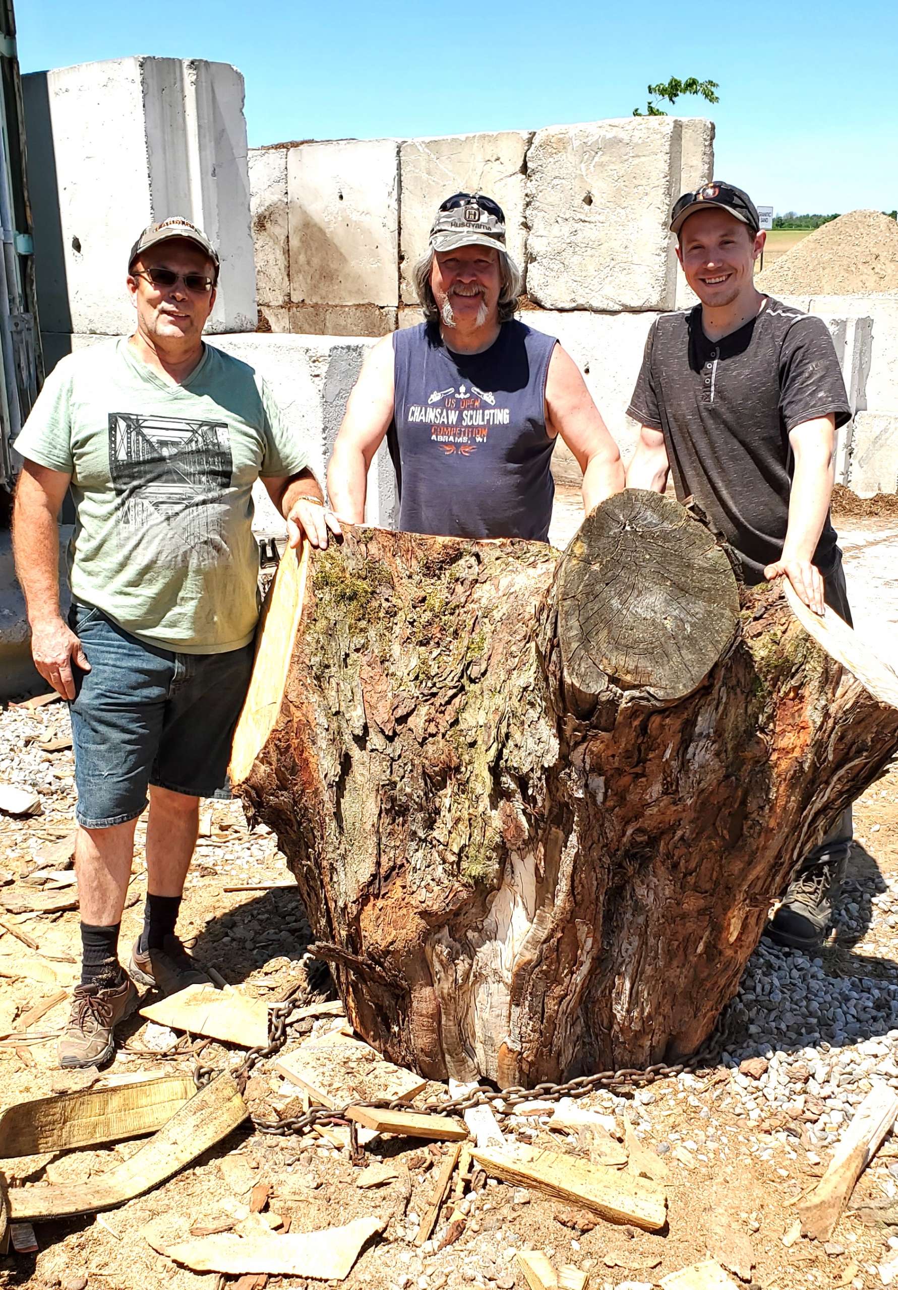 Giant Maple Stump Becomes Gryphon Keepsake for U of G Professor - U of ...
