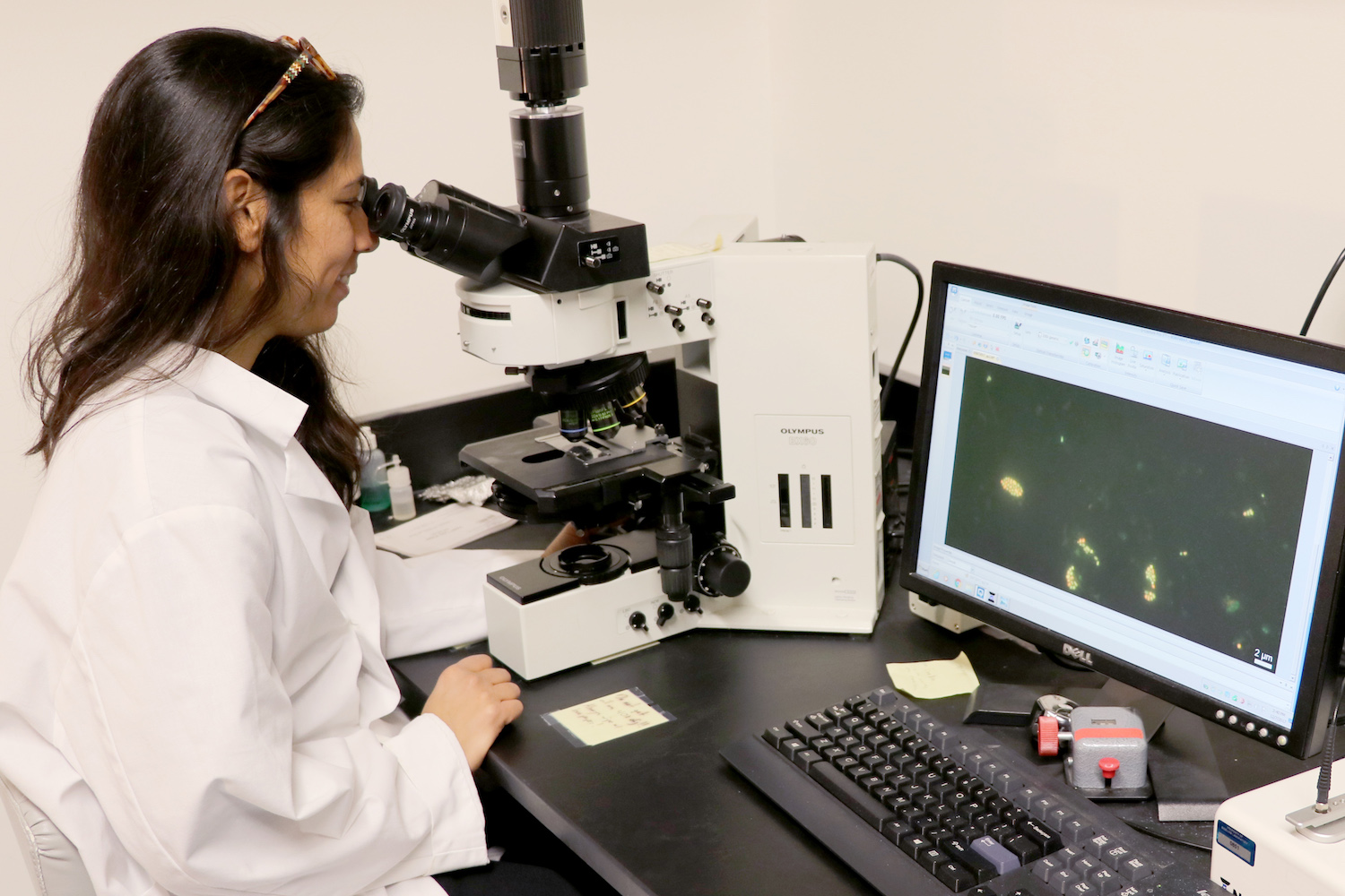 U of G Research on Microbes Within Seabed Gives Insight to Unknown Habitat, Life on Other ...