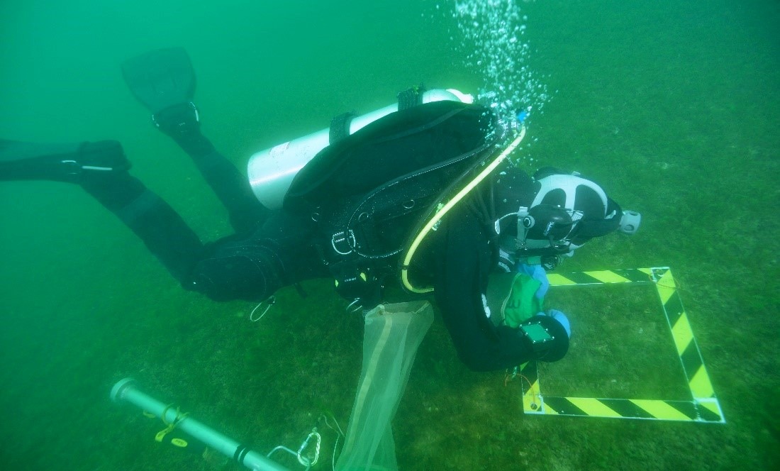 Researchers Bringing AI Smarts to Monitor for Invasive Great Lakes ...