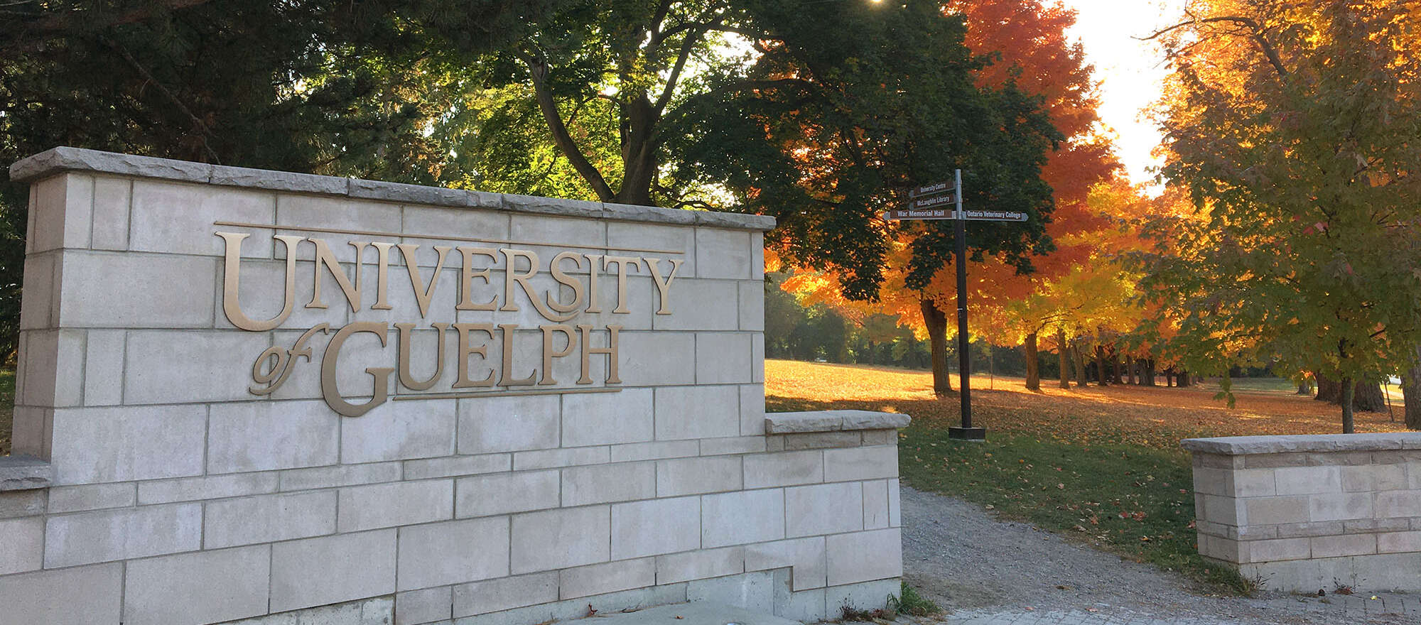 U of G to Showcase What’s Next for Food, Agriculture at Royal ...