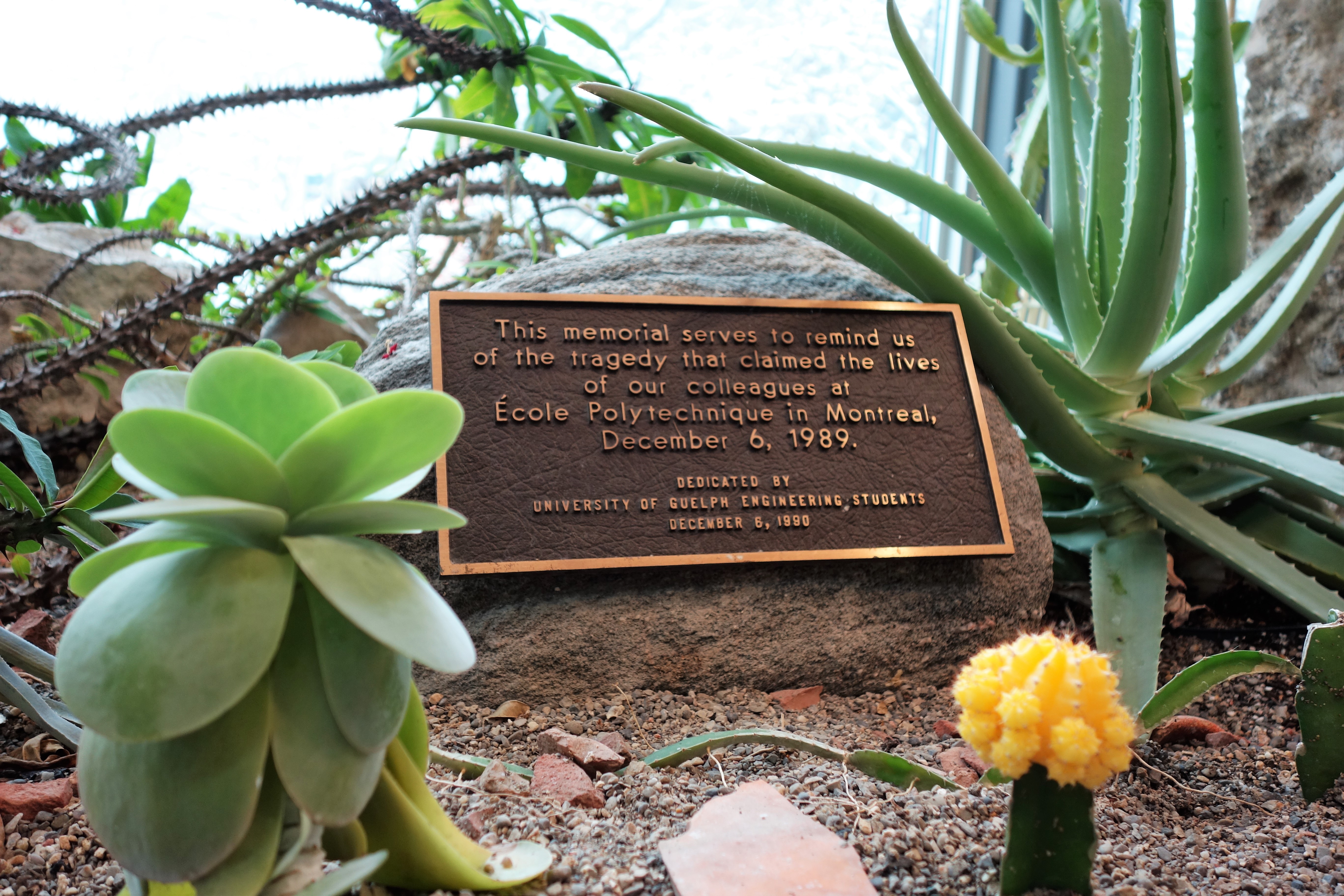 Women in U of G Engineering Reflect on Anniversary of École ...