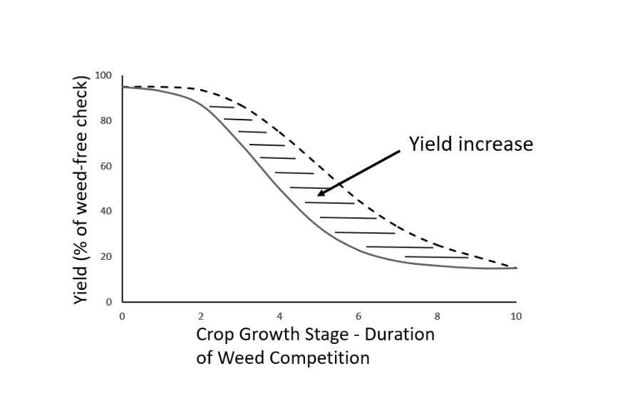 Light Signals From Neighbouring Weeds Alter Crop Growth, Yield: U of G ...