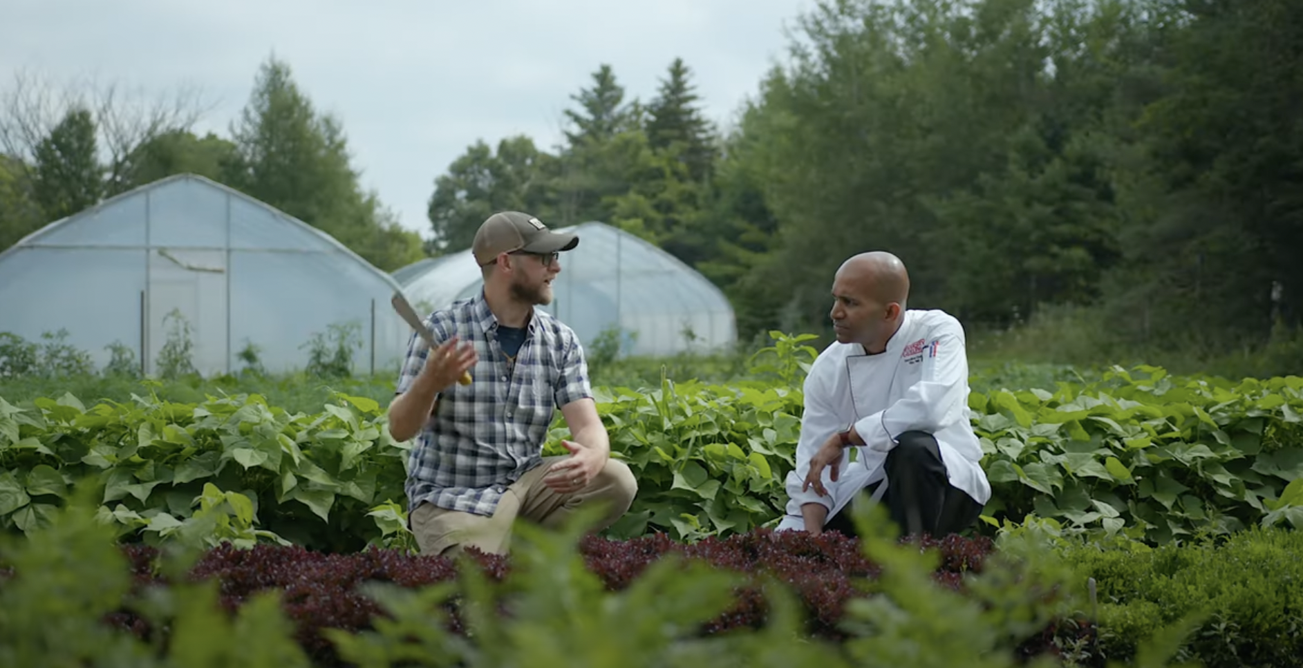 At ‘Canada’s Food University’ Partnerships Prove Plentiful - U of G News