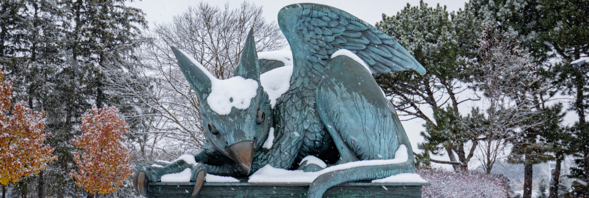 Give like a Gryphon: U of G Holiday Gift Giving Guide - U of G News